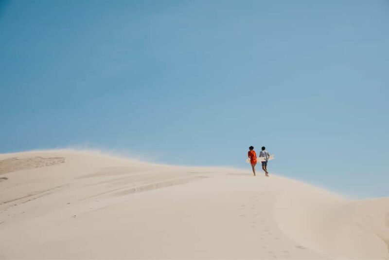 Sydney: Port Stephens Dolphin Watching & Sand Dunes Day Tour - Who Is This Tour Best Suited For?