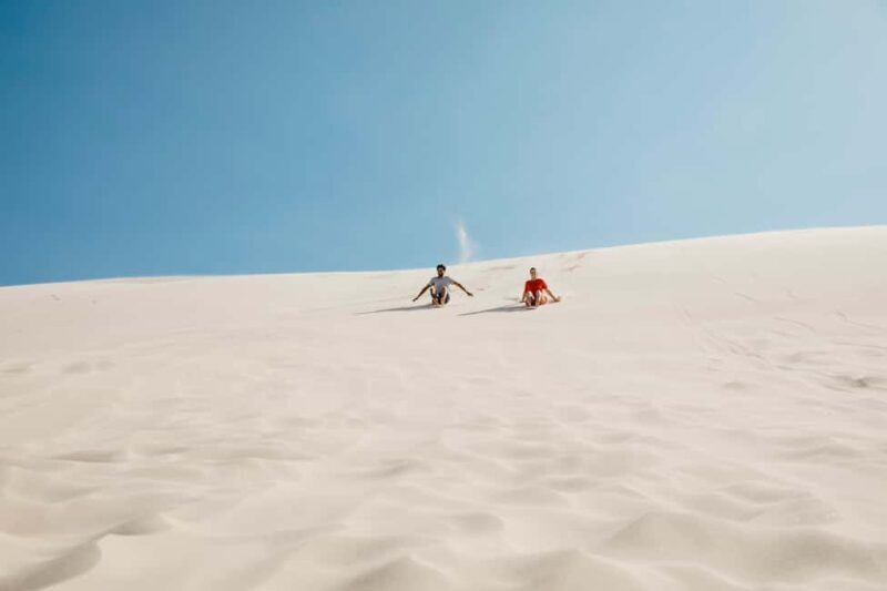 Sydney: Port Stephens Dolphin Watching & Sand Dunes Day Tour - Final Thoughts