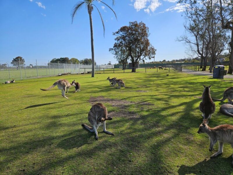 Sydney Port stephens - Key Points