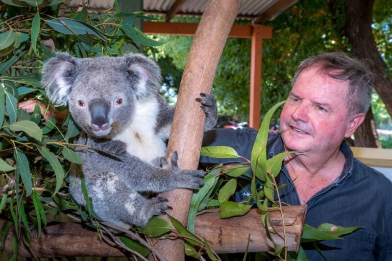 Sydney: Private Blue Mountains, Waterfalls, Walks & Meals - Authenticity and Value