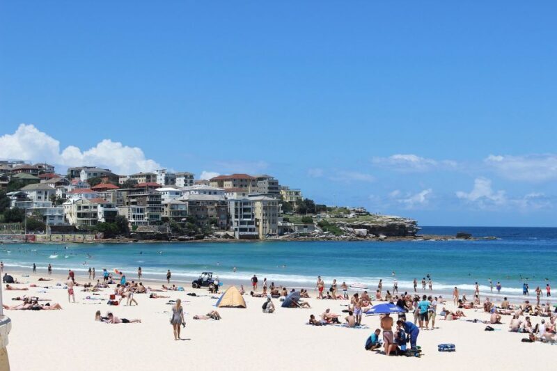 Sydney: Private Customizable Tour with a Local - Final Thoughts