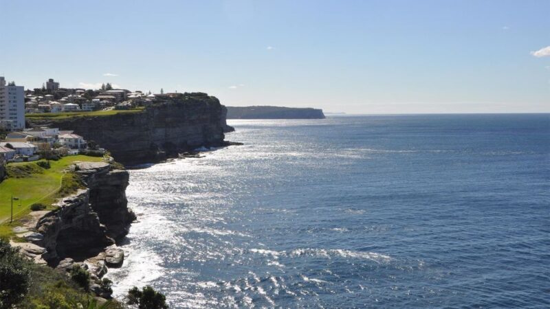 Sydney: Private Half-Day Sightseeing Tour - Analyzing the Value