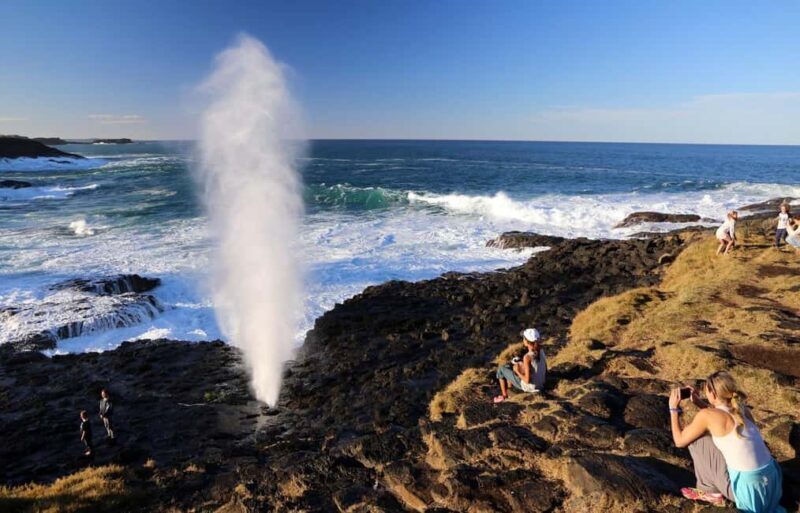 Sydney: Private South Coast, Highlands and Kiama Tour - Considerations Before Booking