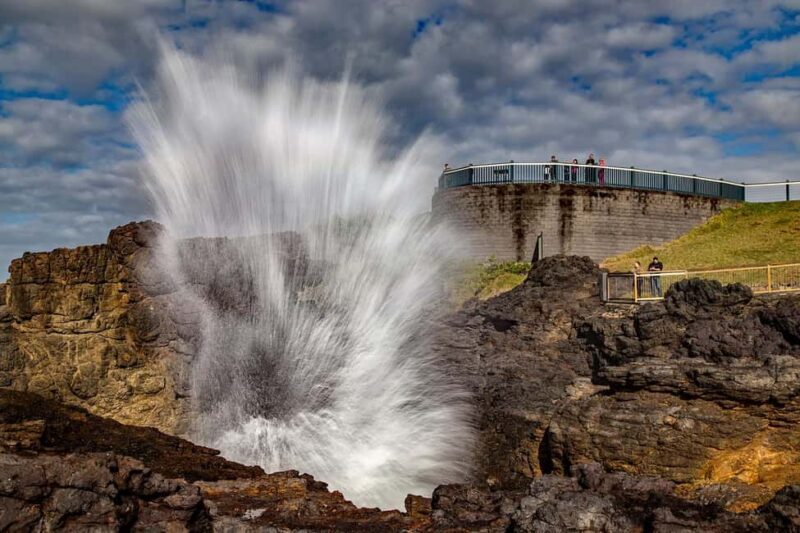 Sydney: Private South Coast, Highlands and Kiama Tour - FAQ
