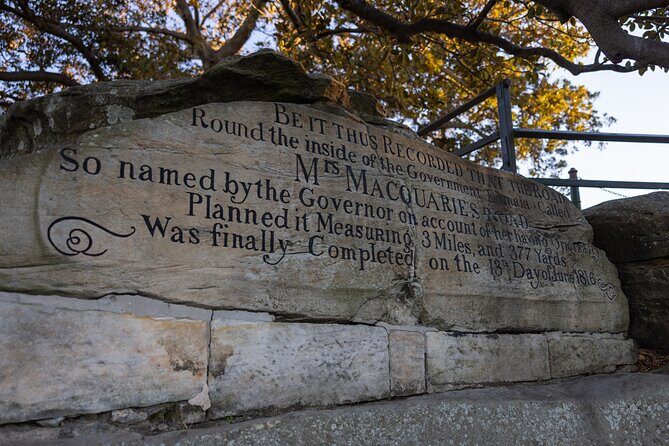 Sydney Private Tour 2 Hour Half Day Full Day and City Lights - Final Thoughts: Is This Tour Right for You?