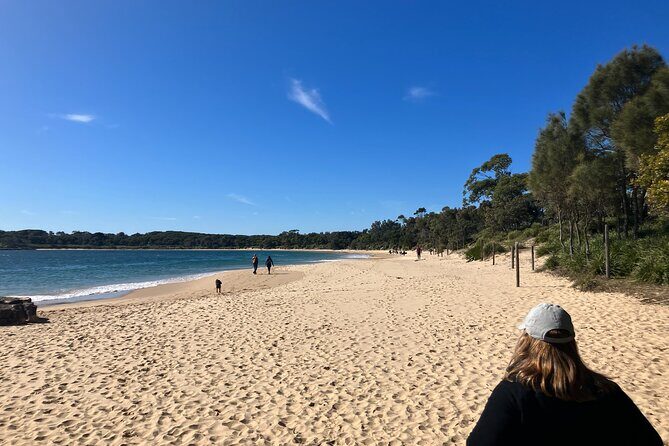 Sydney Private Tour Inc The Royal National Park and Symbio Zoo - Who Should Consider This Tour?