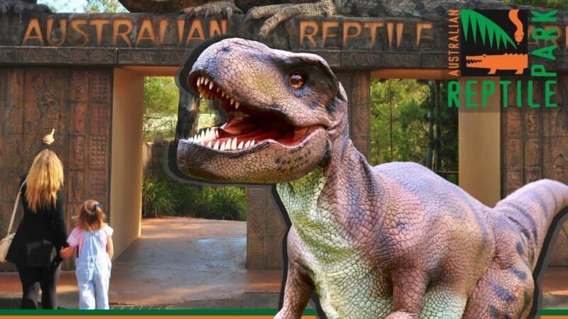 Sydney: Reptile Park and Avoca Beach Day Trip with Entry - Key Points