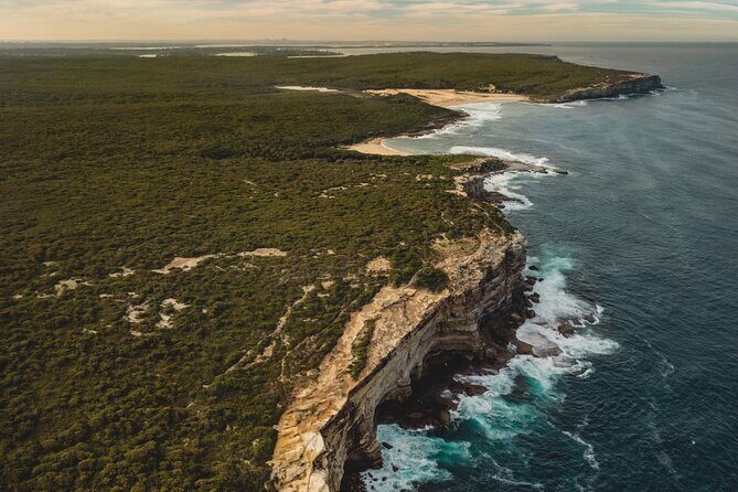 Sydney: Royal National Park Day Trip with Picnic and Swim - Key Points