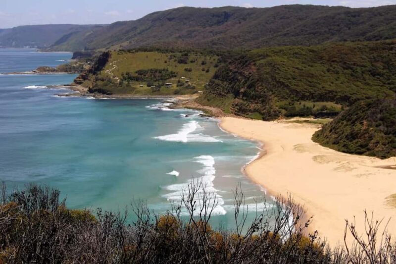 Sydney: Royal National Park private day tour - An In-Depth Look at the Royal National Park Private Tour
