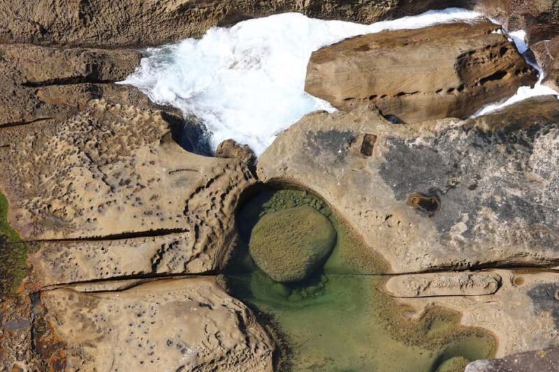 Sydney: Royal National Park private day tour - Final Thoughts
