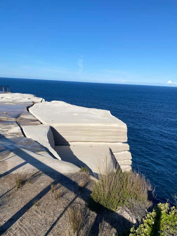 Sydney: Royal National Park tour with picnic - What Makes This Tour a Great Value