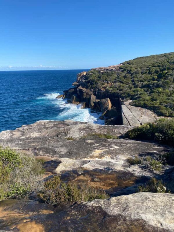 Sydney: Royal National Park tour with picnic - Final Thoughts: Is This the Right Tour for You?