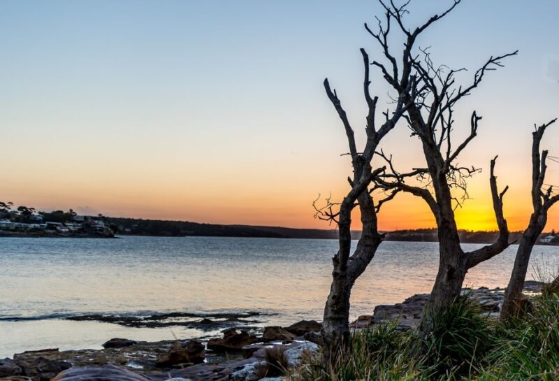 Sydney: Sea Cliff Bridge, Kiama Blowhole and Farmlands Tour - Is This Tour Right for You?