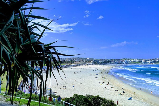 Sydney Secrets and Bondi Beach 4 HOUR AFTERNOON PRIVATE TOUR - Final Thoughts