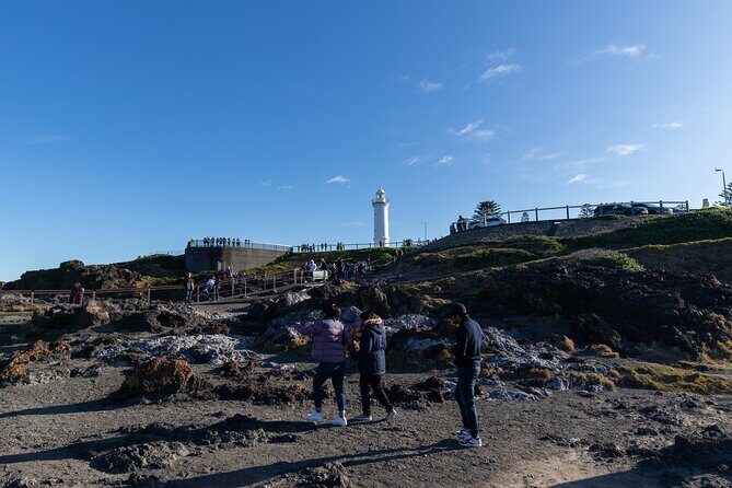 Sydney South Coast Day Tour  Kiama Blowhole & Sea Cliff Bridge - Who Would Enjoy This Tour?