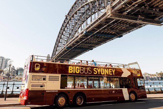 Sydney Speed Boat Adventure Harbour Tour - Who Will Love This Tour?