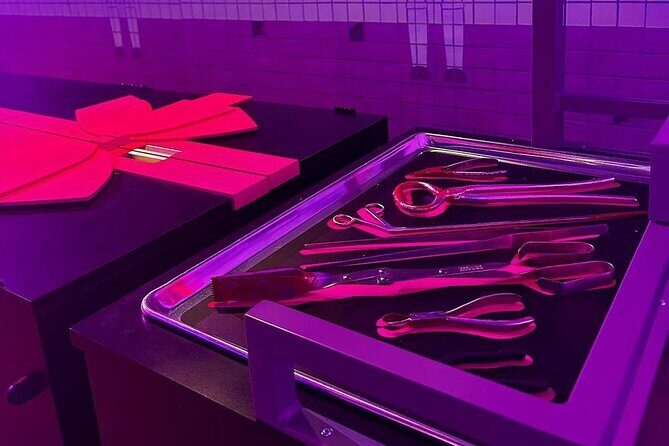 Sydney Squid Game Experience Entry Ticket - Who Should Consider This Tour?