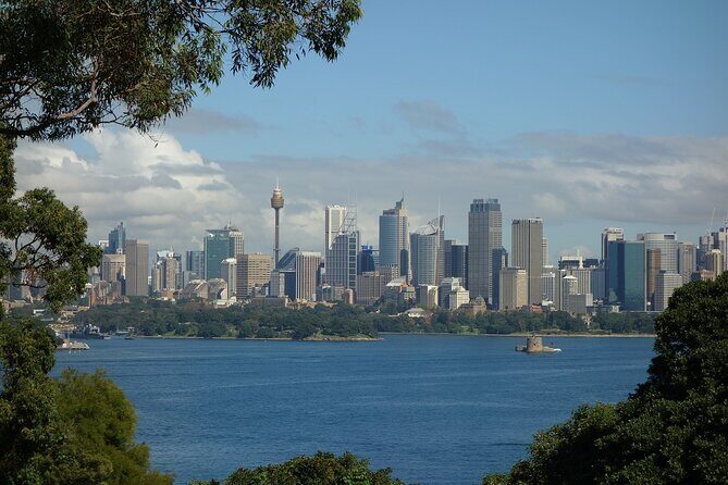 Sydney Street Food Tour With A Local Guide - The Itinerary: Walk, Taste, Learn