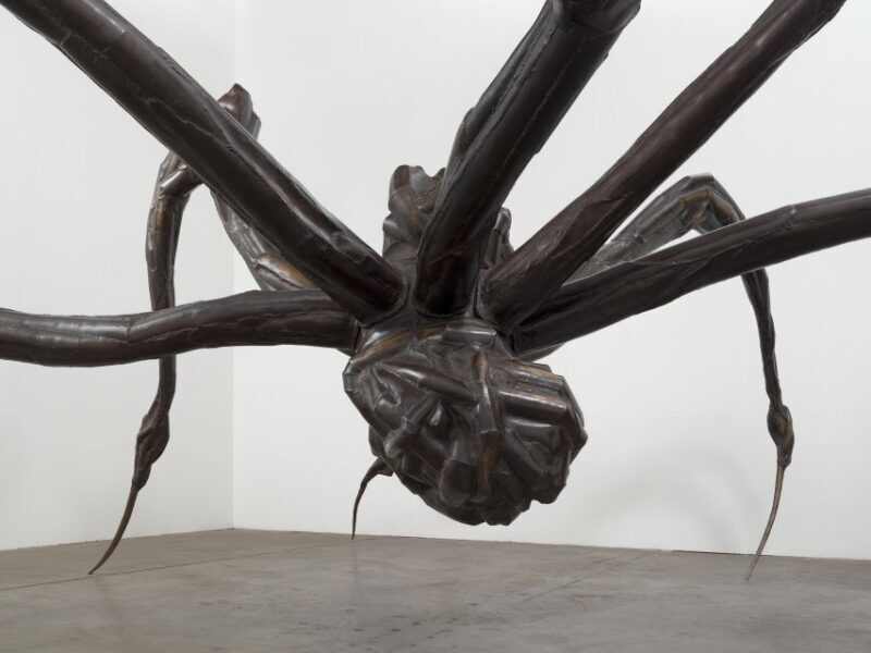 Sydney Summer Art Exhibitions Art Gallery of New South Wales - A Closer Look at the Experience