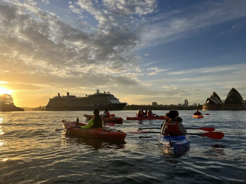 Sydney: Sunrise Kayak, Opera House & Under Harbour Bridge - What to Expect During the Tour