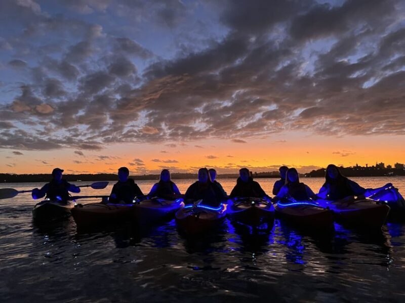 Sydney: Sunrise Kayak, Opera House & Under Harbour Bridge - The Sum Up