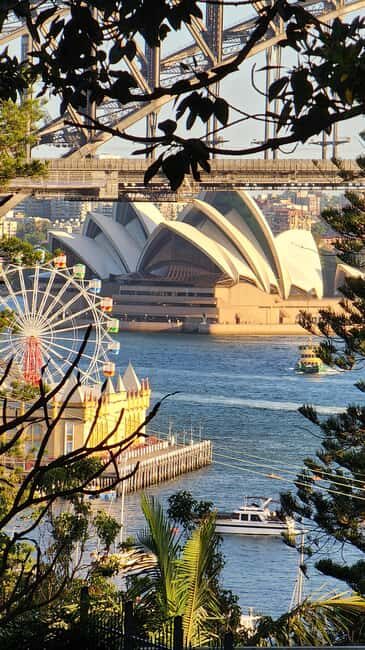 Sydney: Sunset Kayak - Opera & Harbour Bridge Tour (5p. max) - Who Should Consider This Tour?