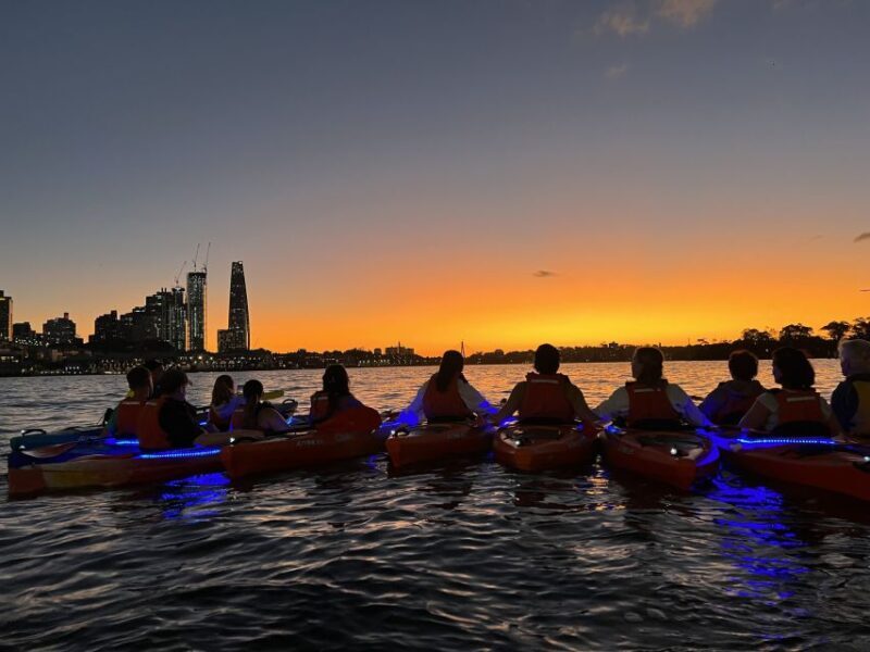 Sydney: Sunset Kayak Tour on Sydney Harbour - Who Should Consider This Tour?
