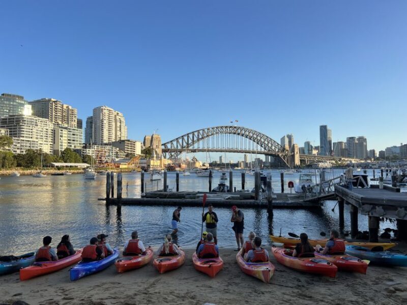 Sydney: Sunset Kayak Tour on Sydney Harbour - What to Expect from the Itinerary