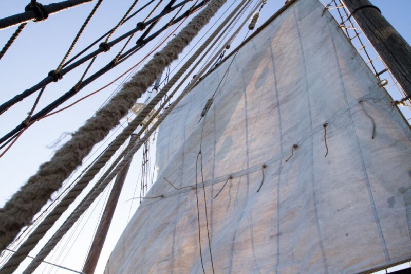 Sydney: Tall Ship Harbour Twilight Dinner Cruise - What Reviewers Love & What to Watch For