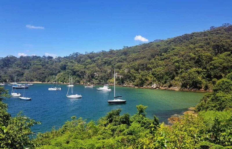 Sydney: Taronga to Balmoral hike with Picnic and painting - A Closer Look at the Experience