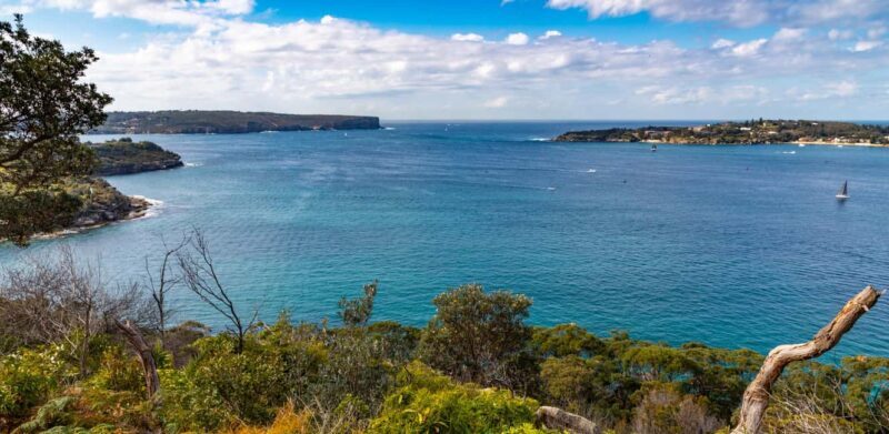Sydney: Taronga to Balmoral hike with Picnic and painting - The Picnic and Painting Session — A Restorative Finish