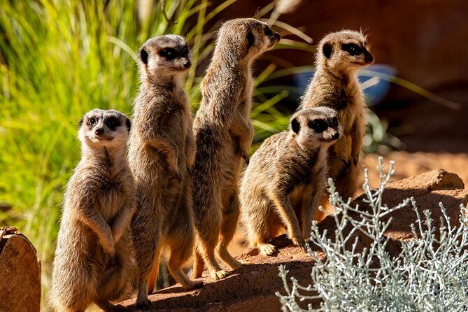 Sydney Taronga Zoo General Entry Ticket - Reading the Reviews