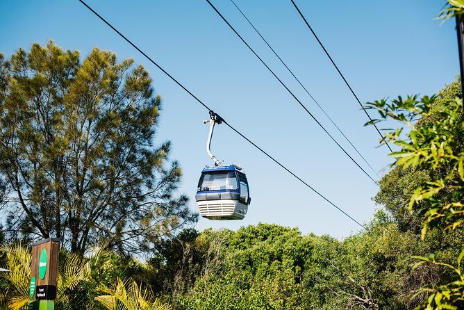 Sydney Taronga Zoo Wild Australia Experience - Food, Refreshments, and Additional Perks