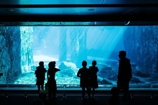 Sydney Taronga Zoo Wild Australia Experience - The Value Proposition