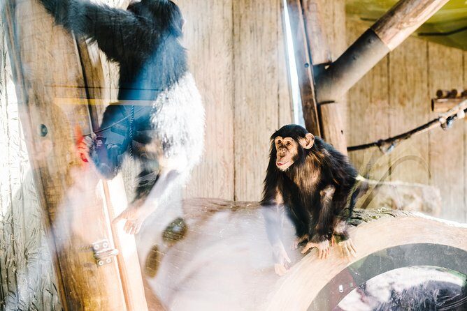 Sydney Taronga Zoo Wild Australia Experience - Final Word