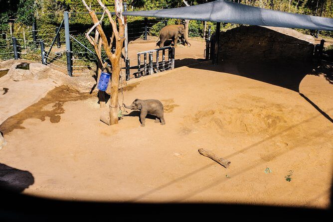 Sydney Taronga Zoo Wild Australia Experience - FAQ