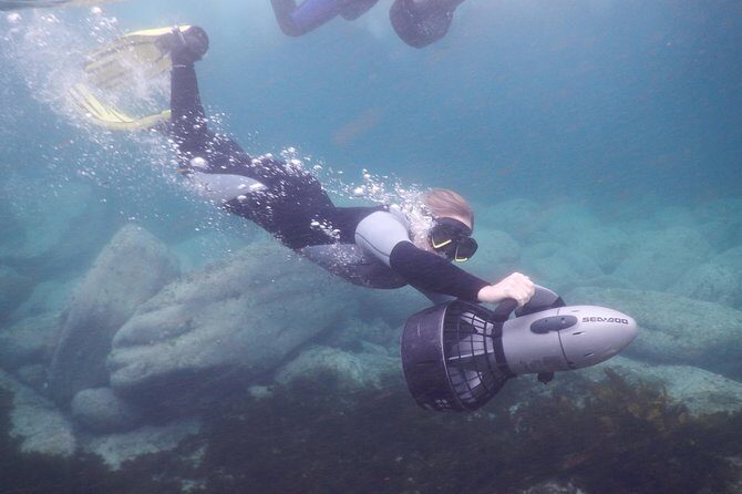 sydney underwater scooter tours - An In-Depth Look at the Tour Experience