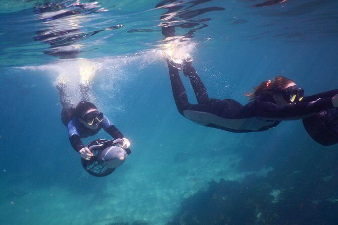 sydney underwater scooter tours - Authentic Perspectives from Travelers