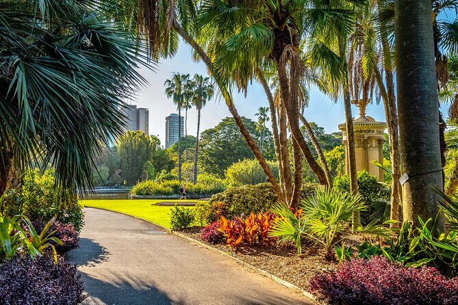 Sydney Walking Tour with Audioguide on Your Smartphone - Who Will Love This Tour?