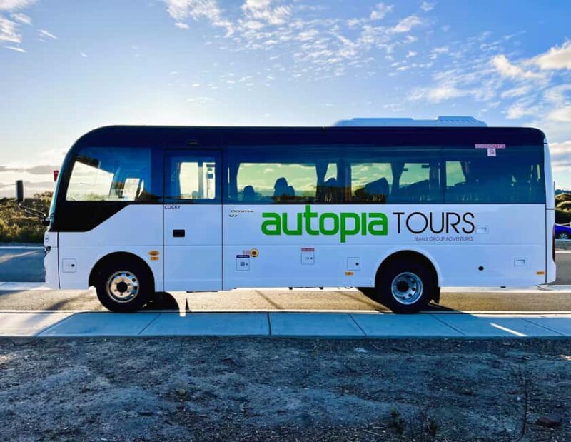 Sydney: Waterfall Bushwalk and Blue Mountain Sunset Day Trip - Final Thoughts: Who Will Love This Tour?