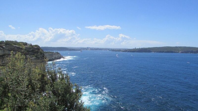 Sydney: Watsons Bay Walking Tour - Who Should Consider This Tour?