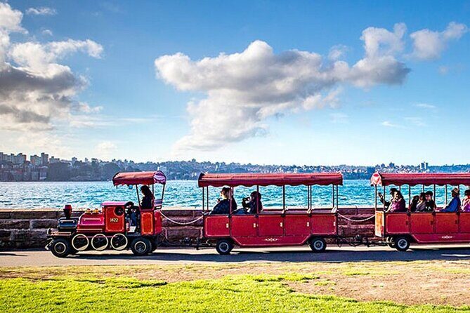 Sydney Whale Watching Adventure Cruise - Detailed Itinerary and What to Expect