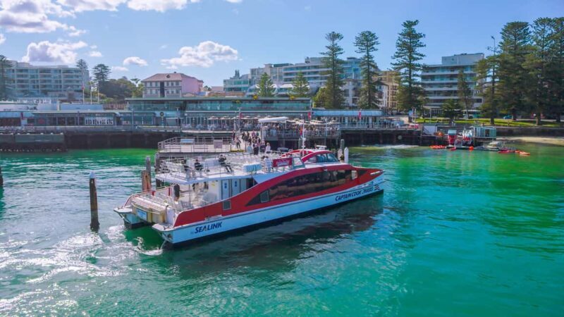 Sydney: Whale Watching & Hop On Hop Off Cruise Package - Considering the Value