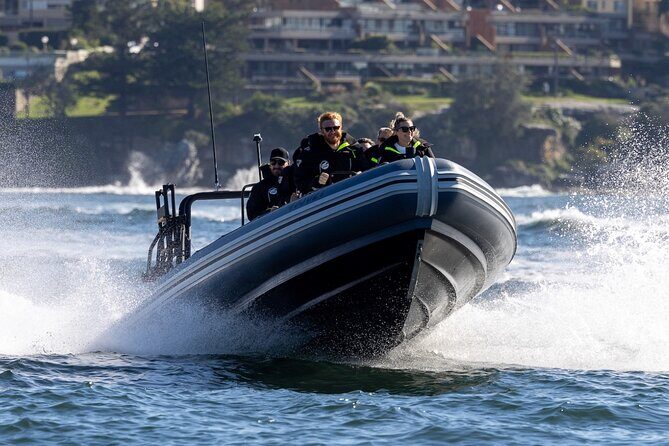 Sydney Whale Watching on Small RIB - Introduction: A Unique Way to Experience Sydney’s Marine Life