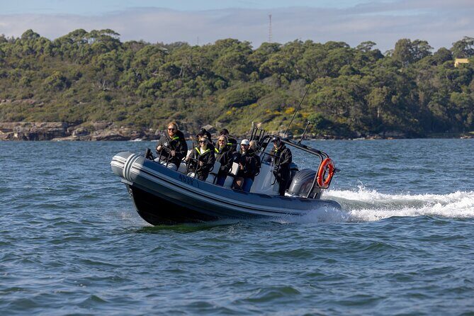 Sydney Whale Watching on Small RIB - The Real Value: Personal, Speedy, and Engaging