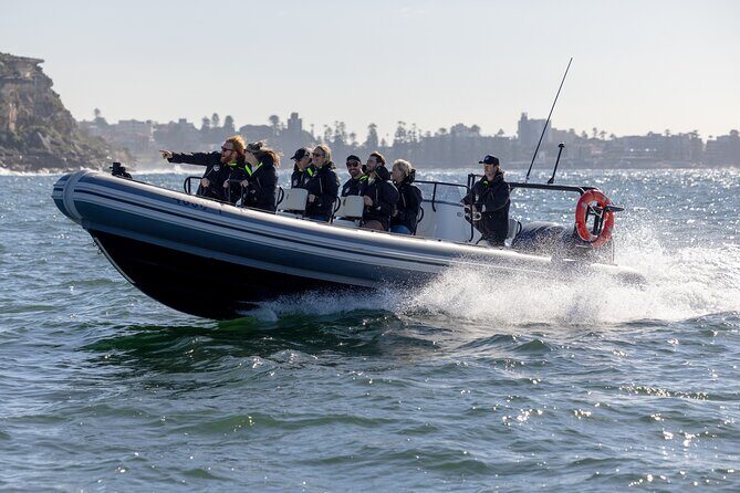 Sydney Whale Watching on Small RIB - Authentic Encounters and Comfortable Ride