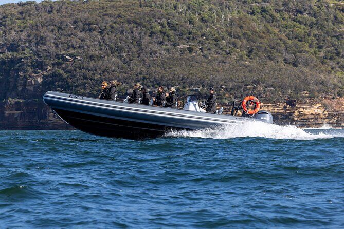 Sydney Whale Watching on Small RIB - Weather and Cancellation Policies