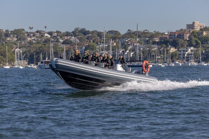 Sydney Whale Watching on Small RIB - Final Thoughts: Who Will Love This Tour?