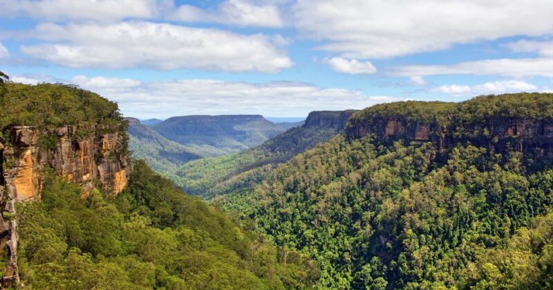 Sydney: Wildlife, Waterfalls and Wine Small Group Tour - What Makes This Tour Stand Out?