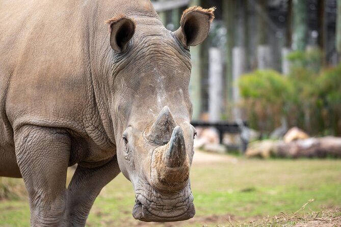 Sydney Zoo General Entry Admission Ticket - Detailed Breakdown of the Itinerary